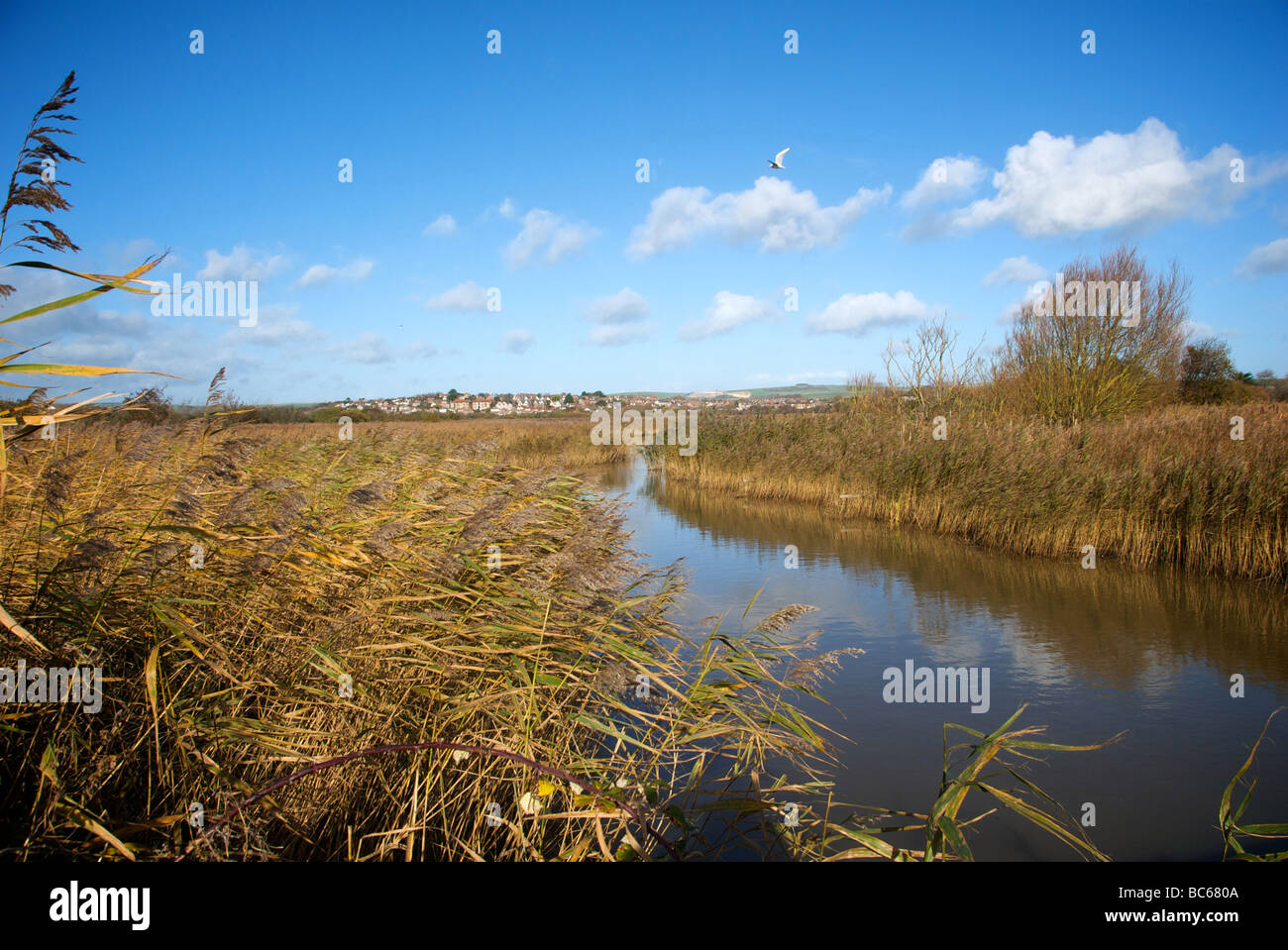 Radipole lake hi-res stock photography and images - Alamy