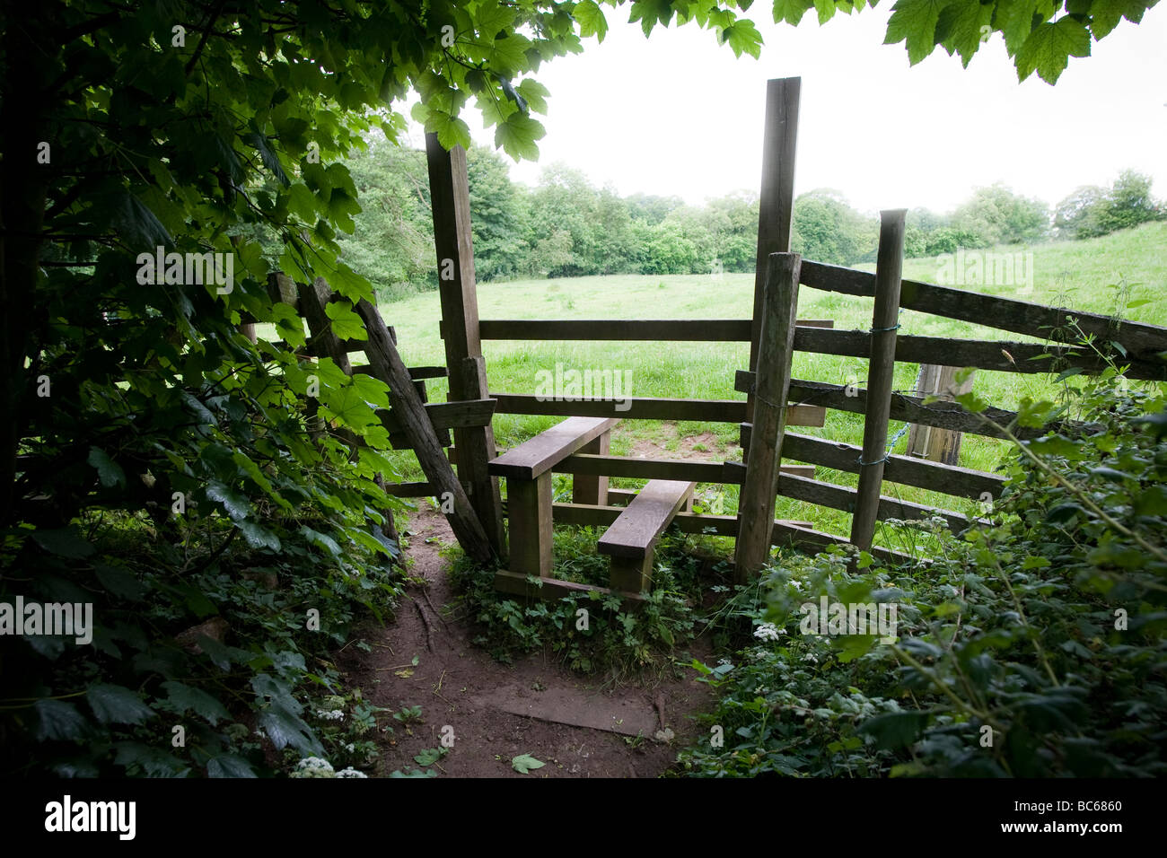 Overhanging tree hi-res stock photography and images - Alamy