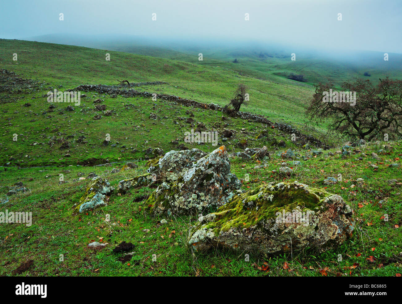 Stone hedge hi-res stock photography and images - Alamy