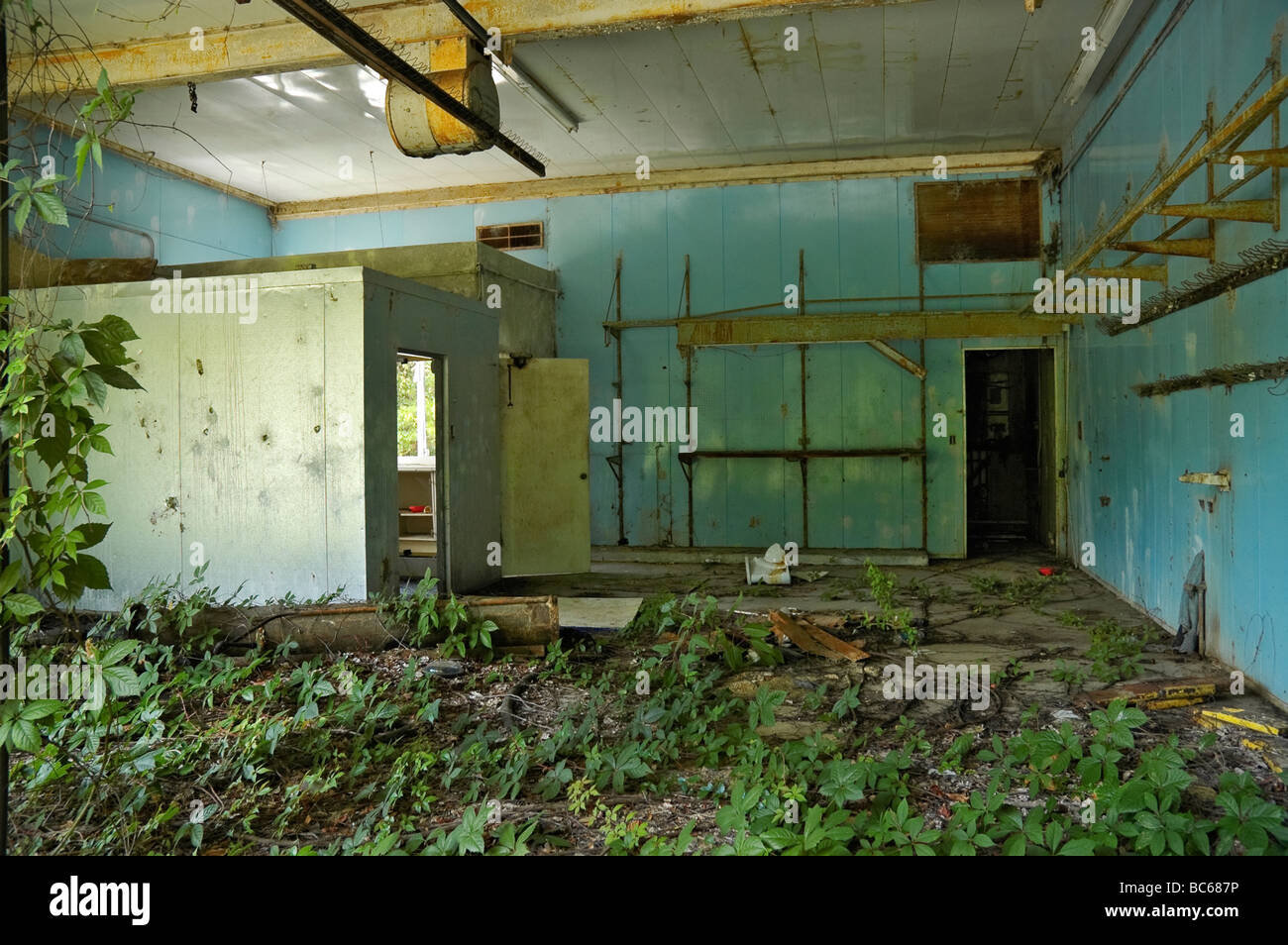 Abandoned Gas Station And Convenience Store Is Reverting Back To Nature In North Florida Usa