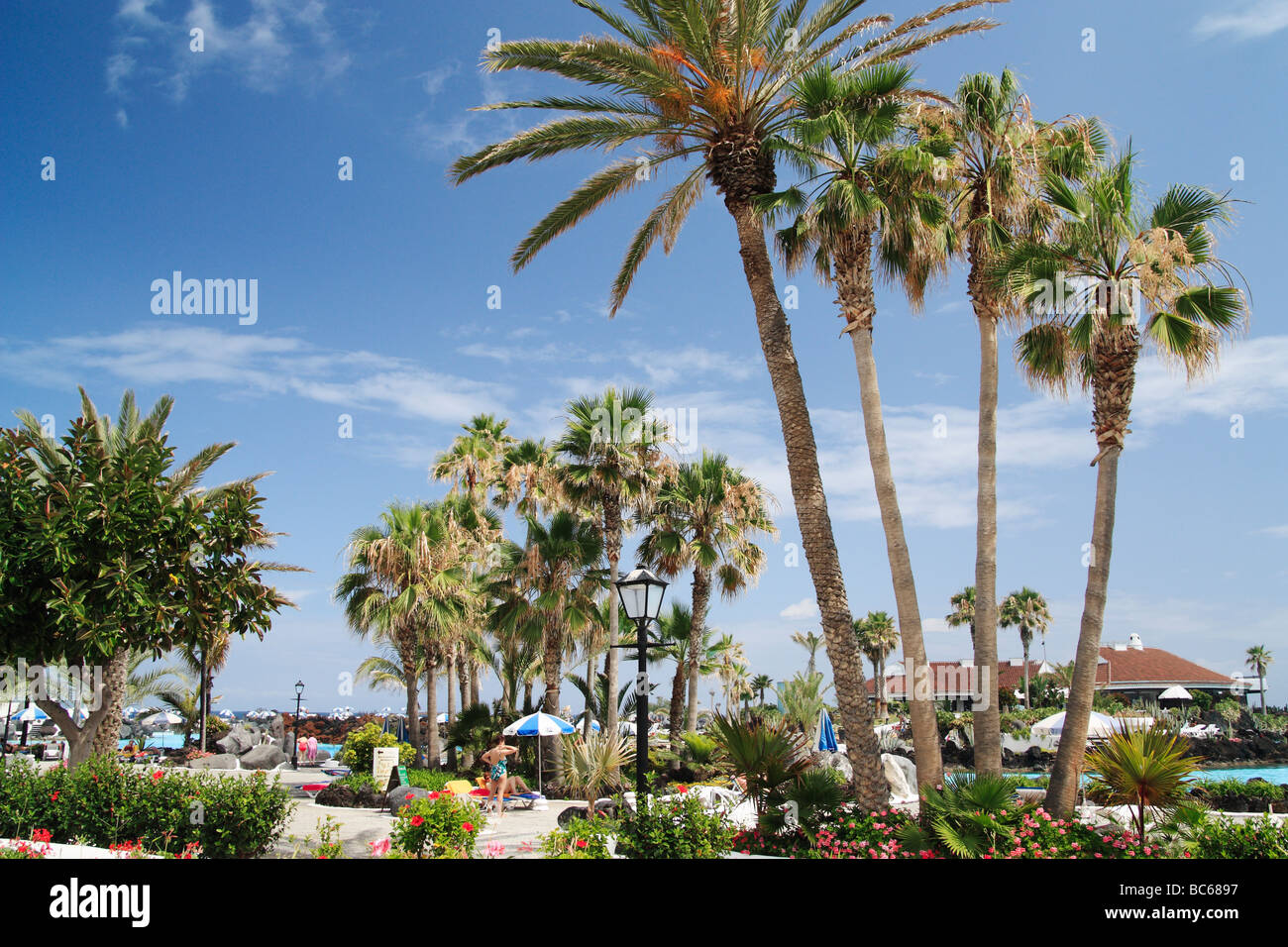 Lago martinez hi-res stock photography and images - Alamy