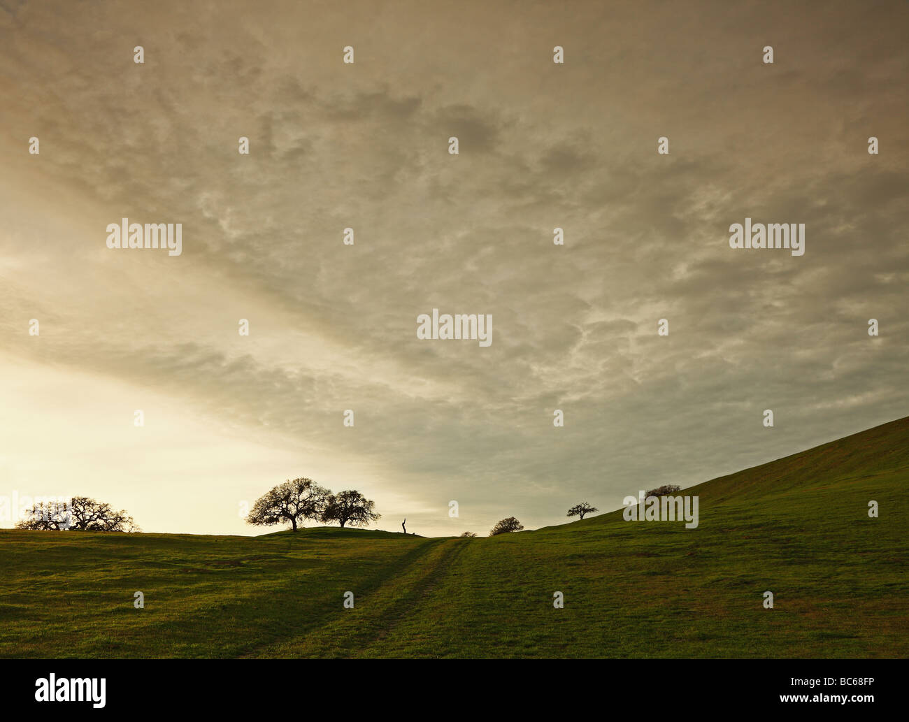 Road farm field hi-res stock photography and images - Alamy