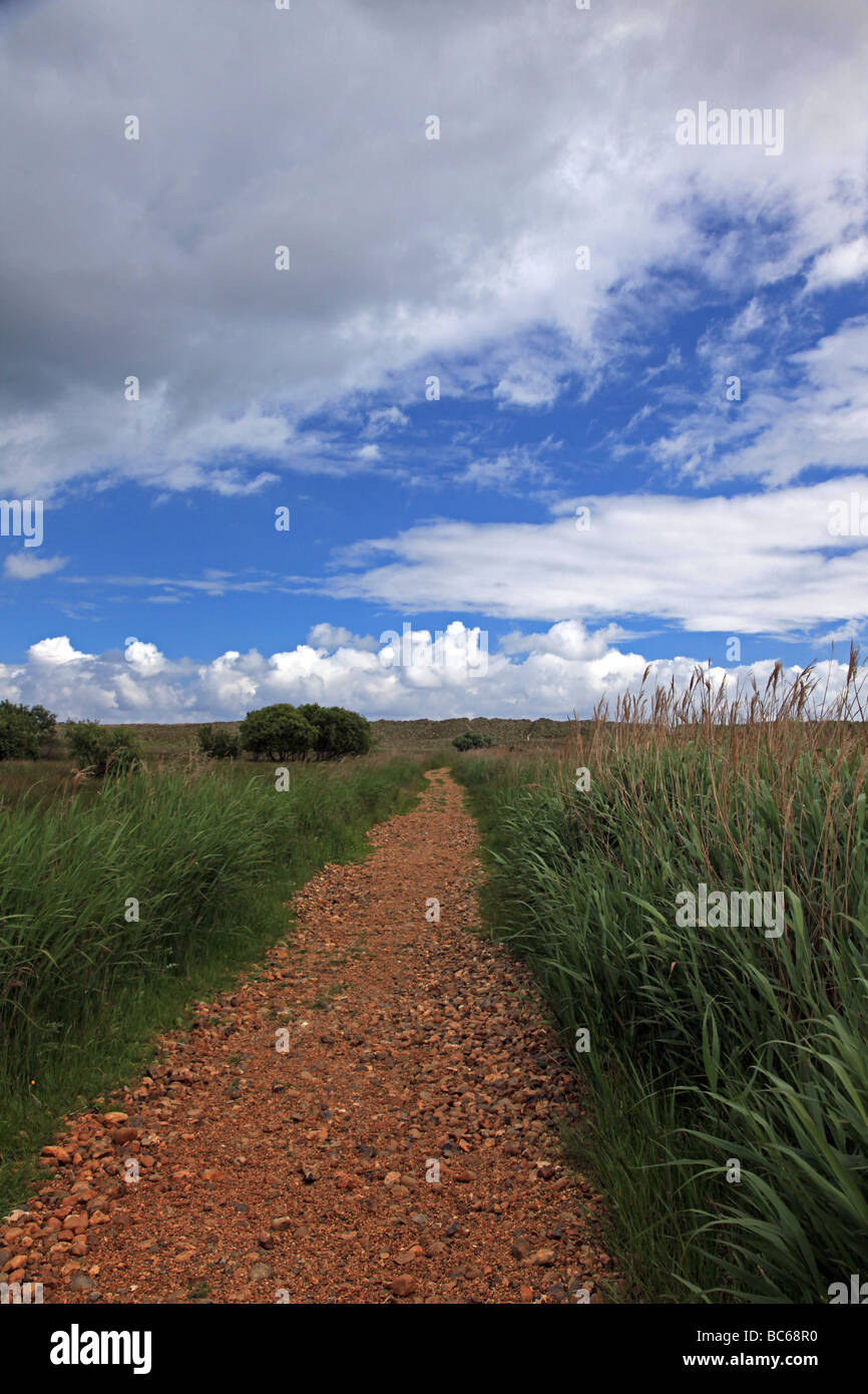 Gravel path hi-res stock photography and images - Alamy