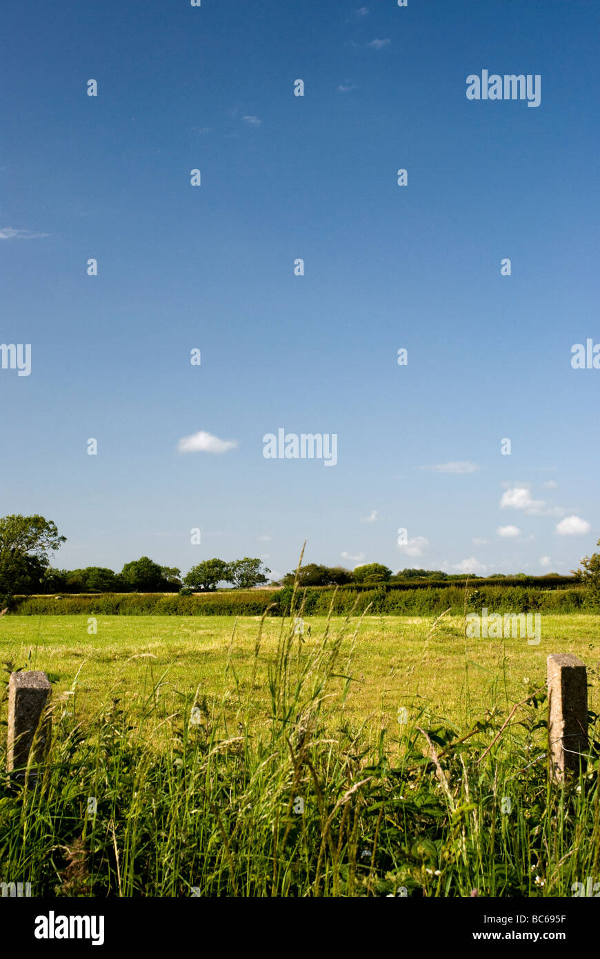 English countryside with trees and hedges Stock Photo - Alamy