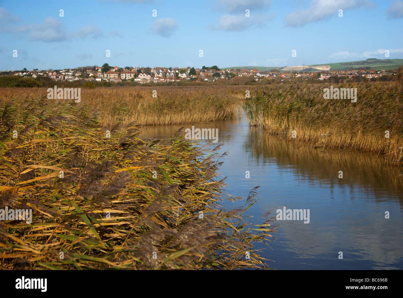 Weymouth Radipole Lake Wetland Dorset UK Stock Photo - Alamy