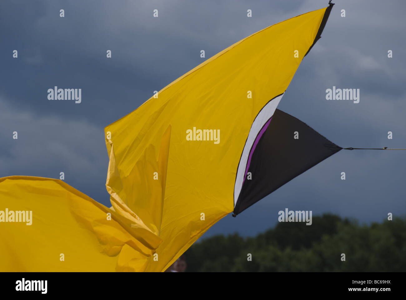 A delta serpent single line kite Stock Photo - Alamy