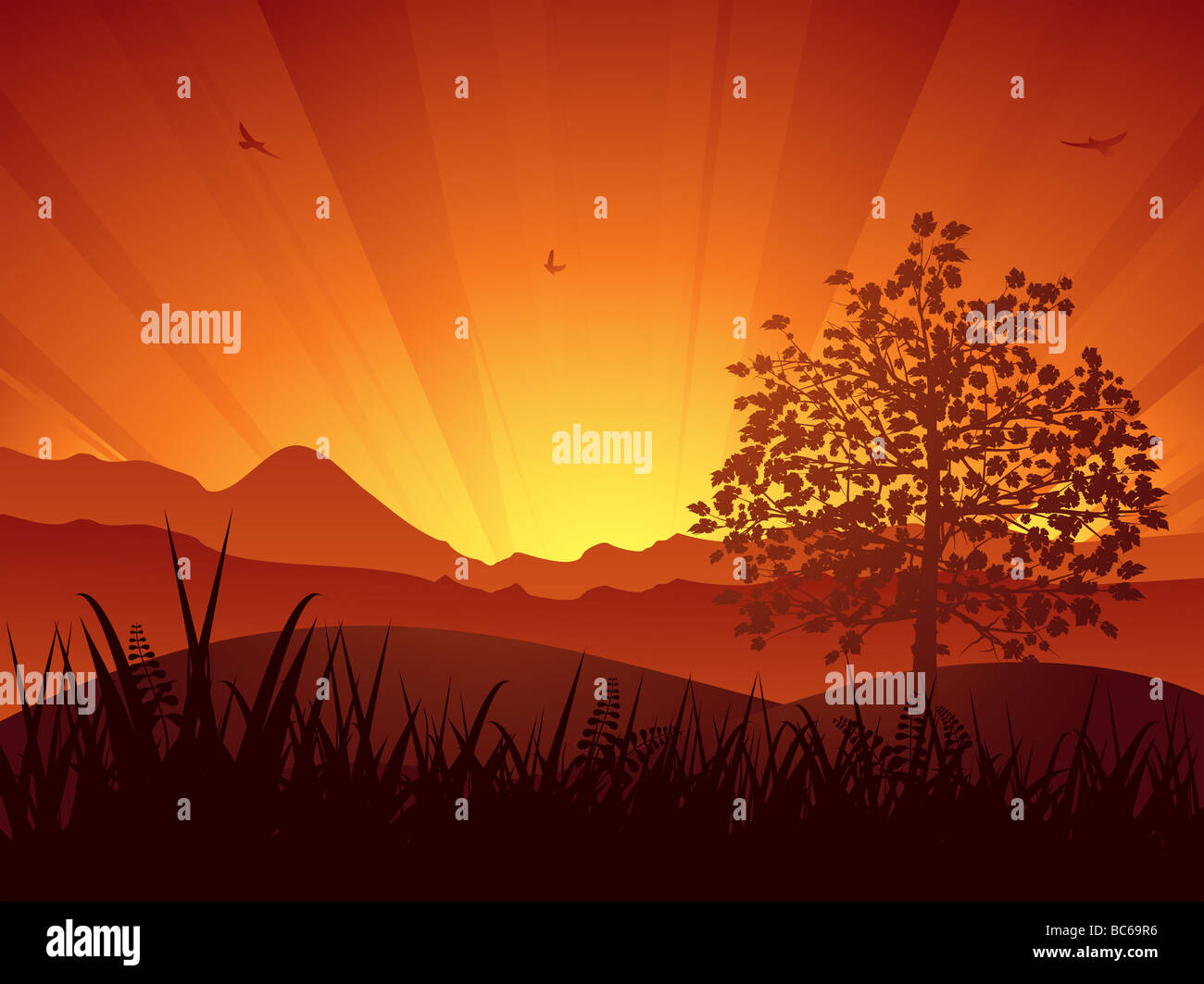 sunset landscape with sun setting behind tree and mountain Stock Photo ...