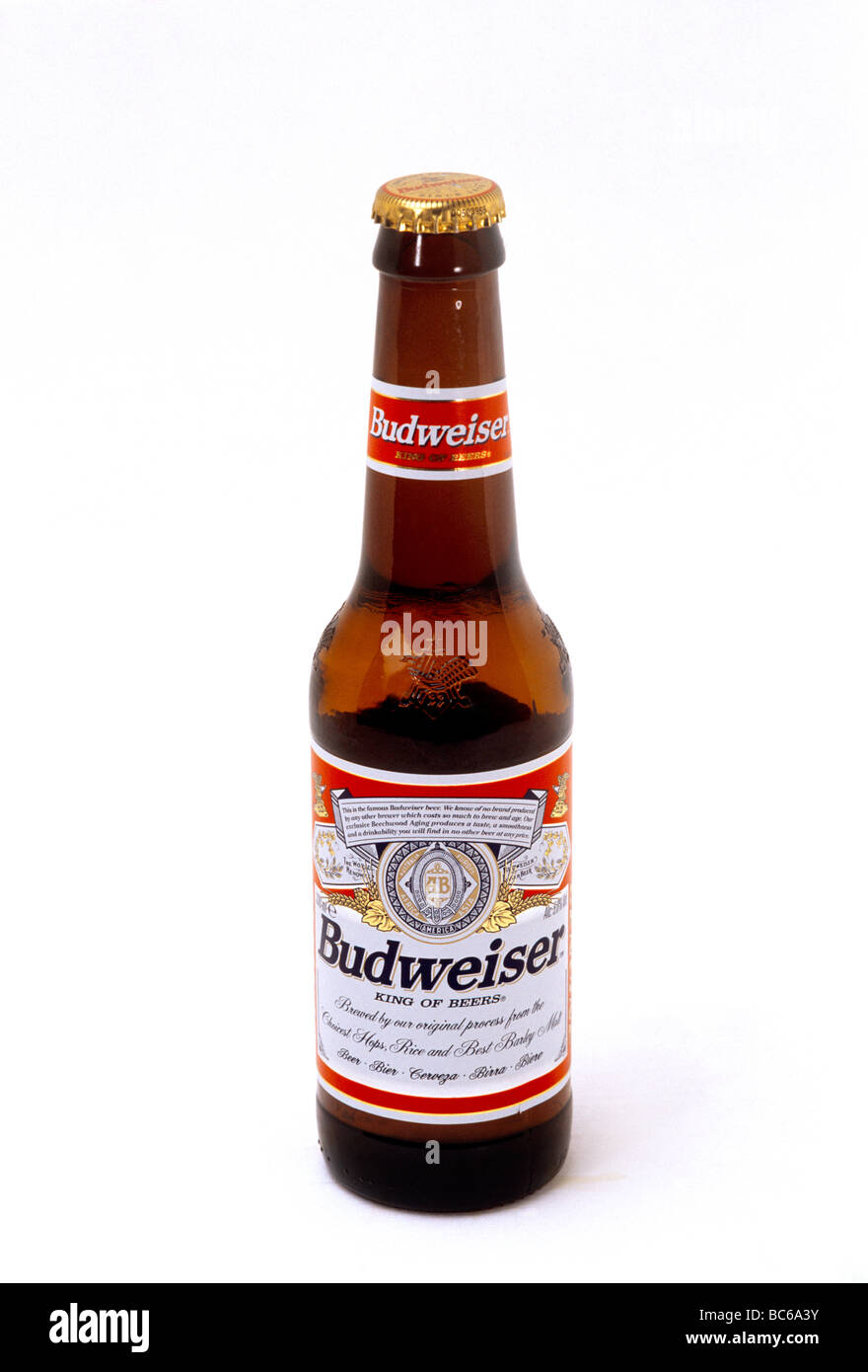 Budweiser beer bottle hi-res stock photography and images - Alamy