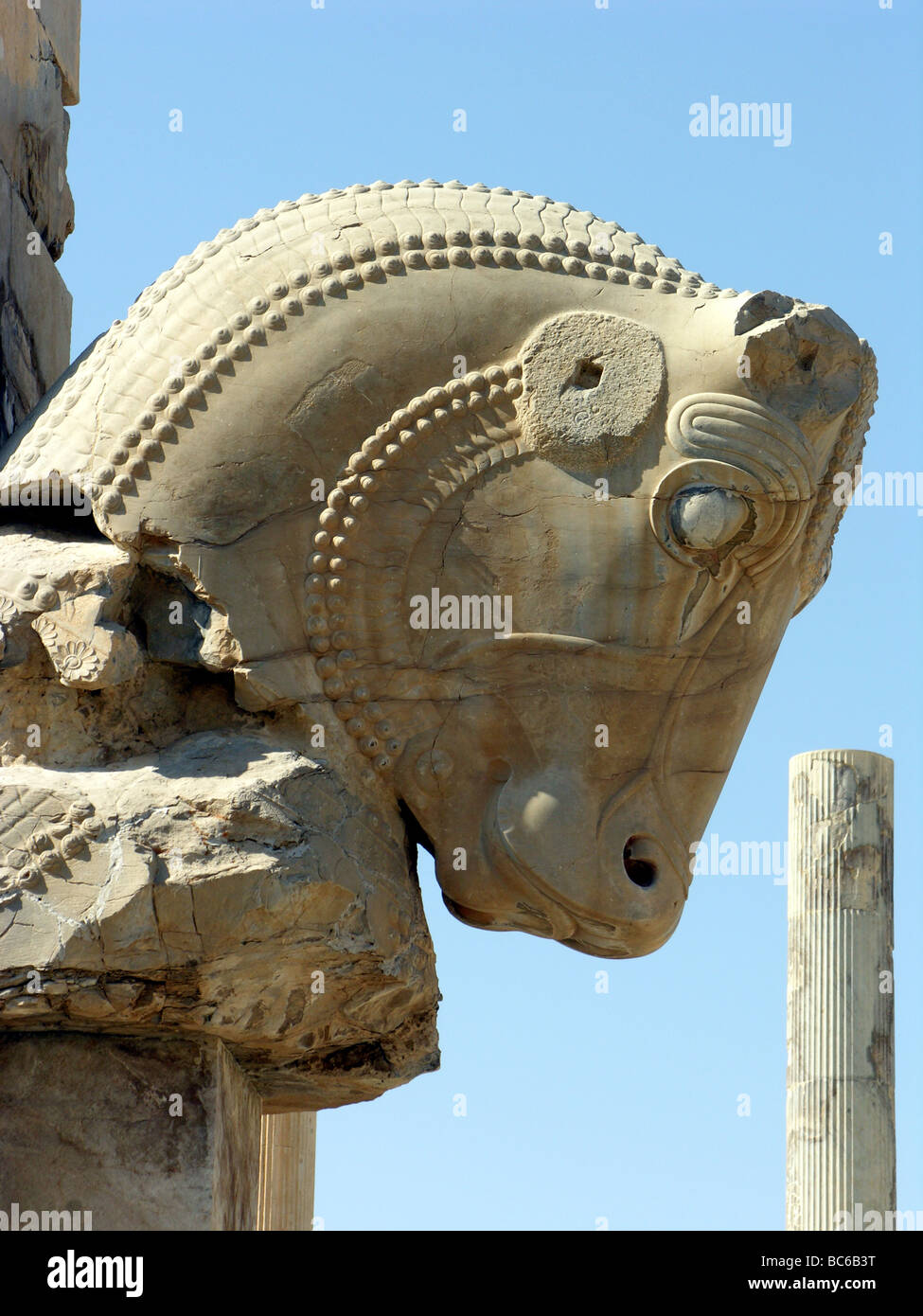 Statue of bull's head in Persepolis, Iran Stock Photo - Alamy