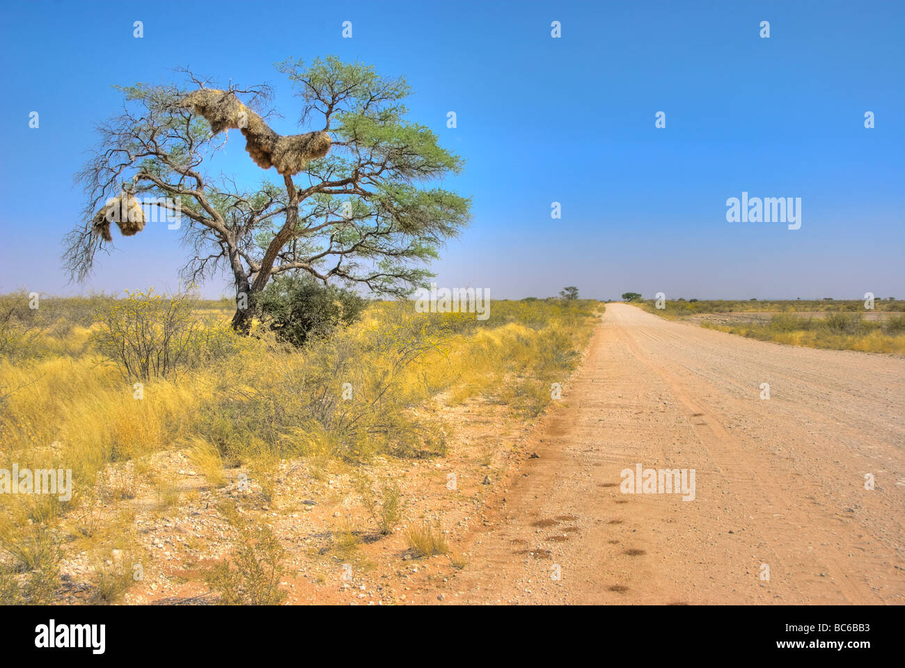 highway in Namibia Stock Photo - Alamy