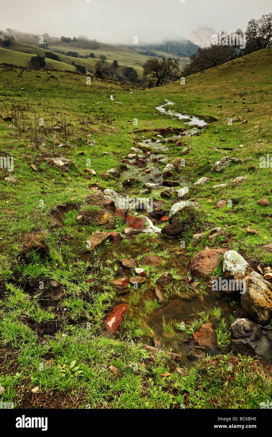 Pasture land with fog hi-res stock photography and images - Alamy