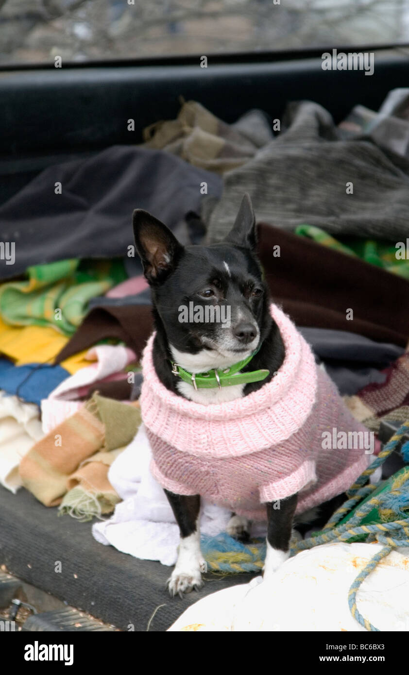 Sentinel watch hi-res stock photography and images - Alamy