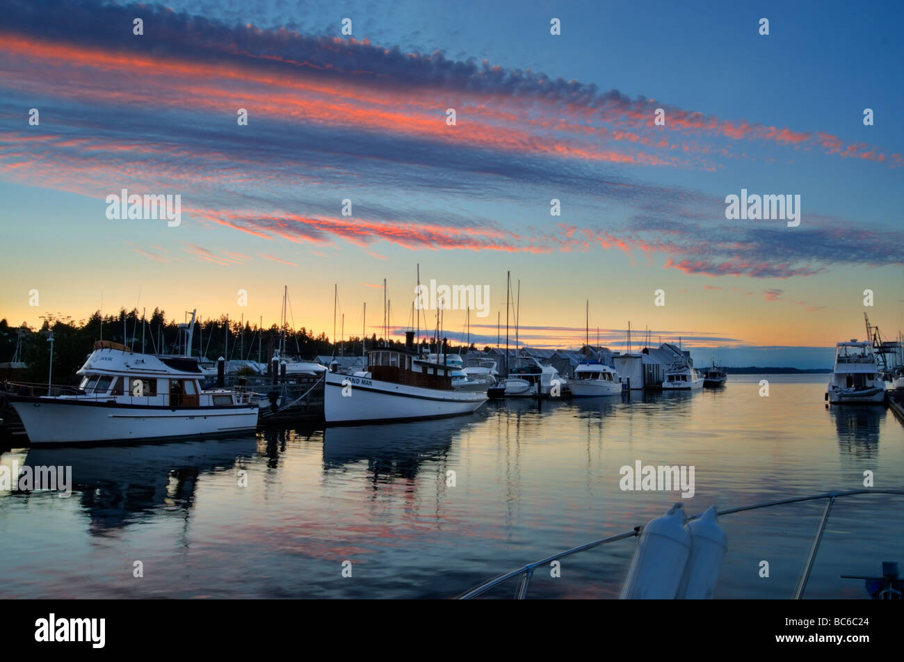 Budd inlet hi-res stock photography and images - Alamy