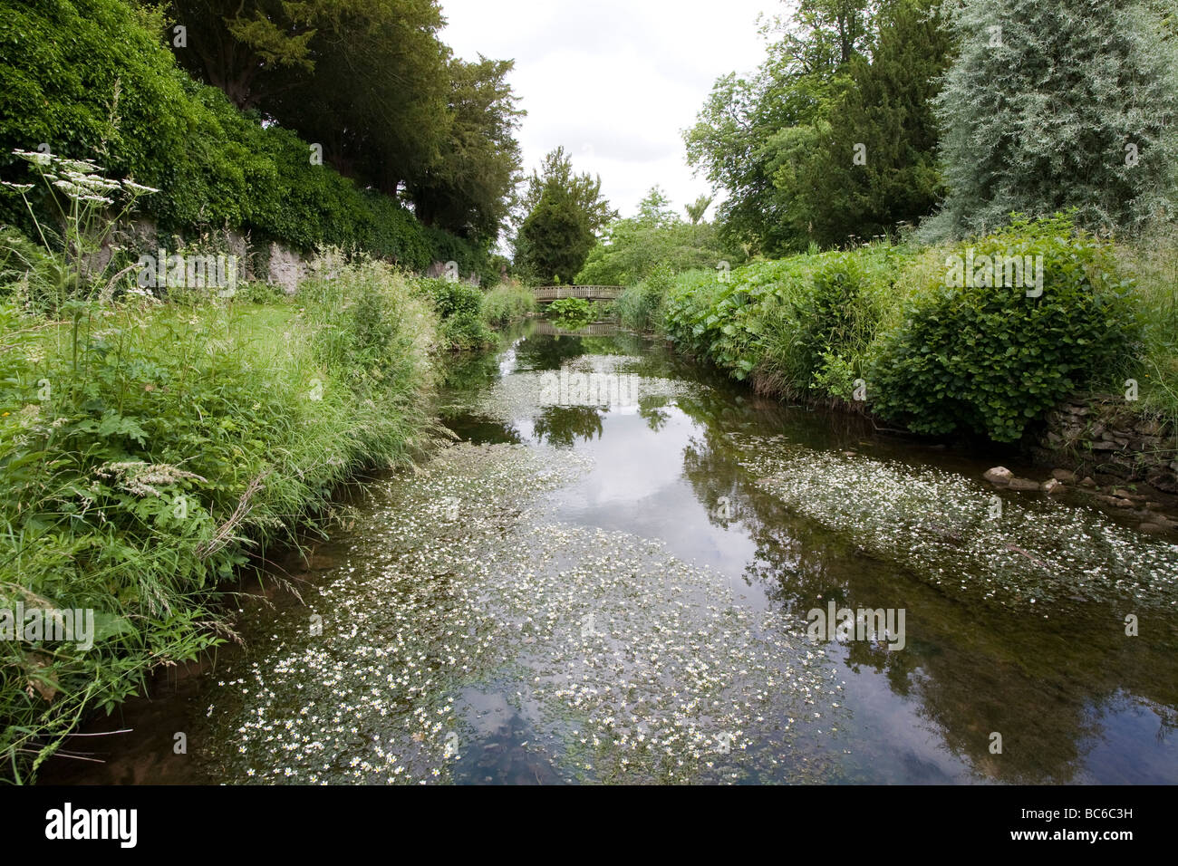 View along stream lined with trees and shrubs in an English country ...