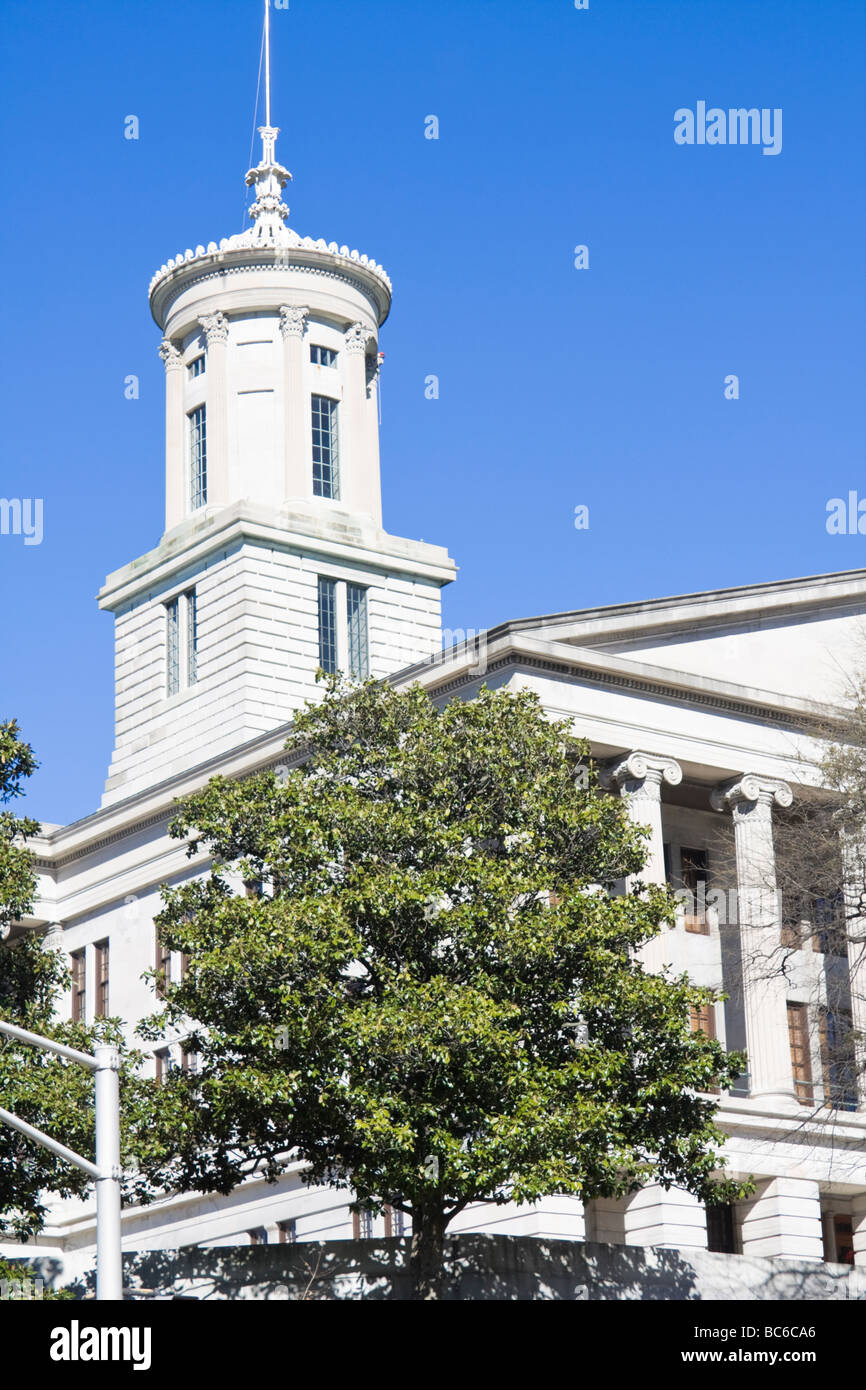 Tennessee State Tree