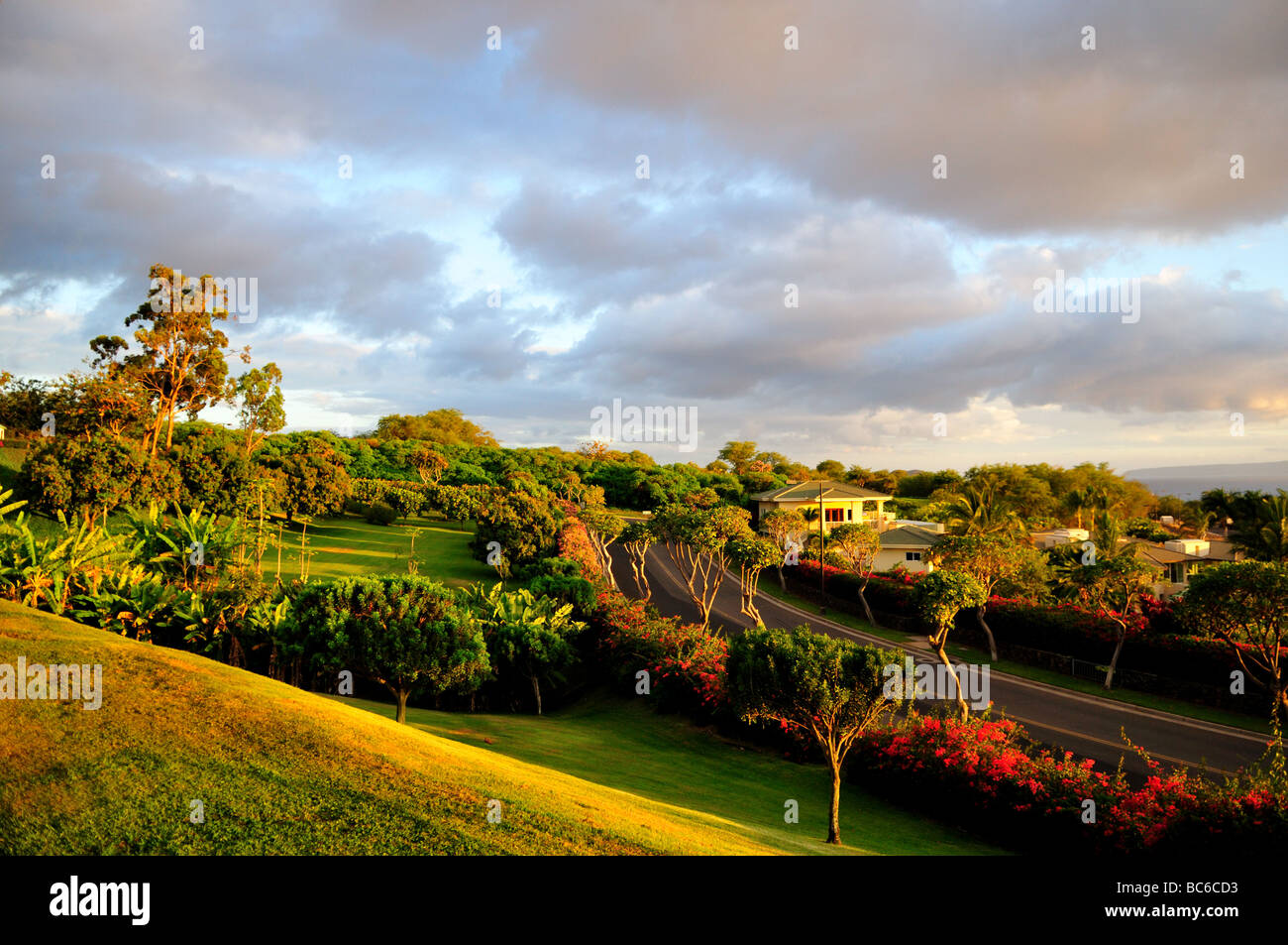 Maui scenic road hi-res stock photography and images - Alamy