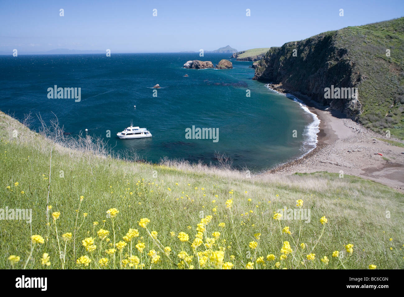 Channel Islands National Park Santa Cruz Island Stock Photo - Alamy