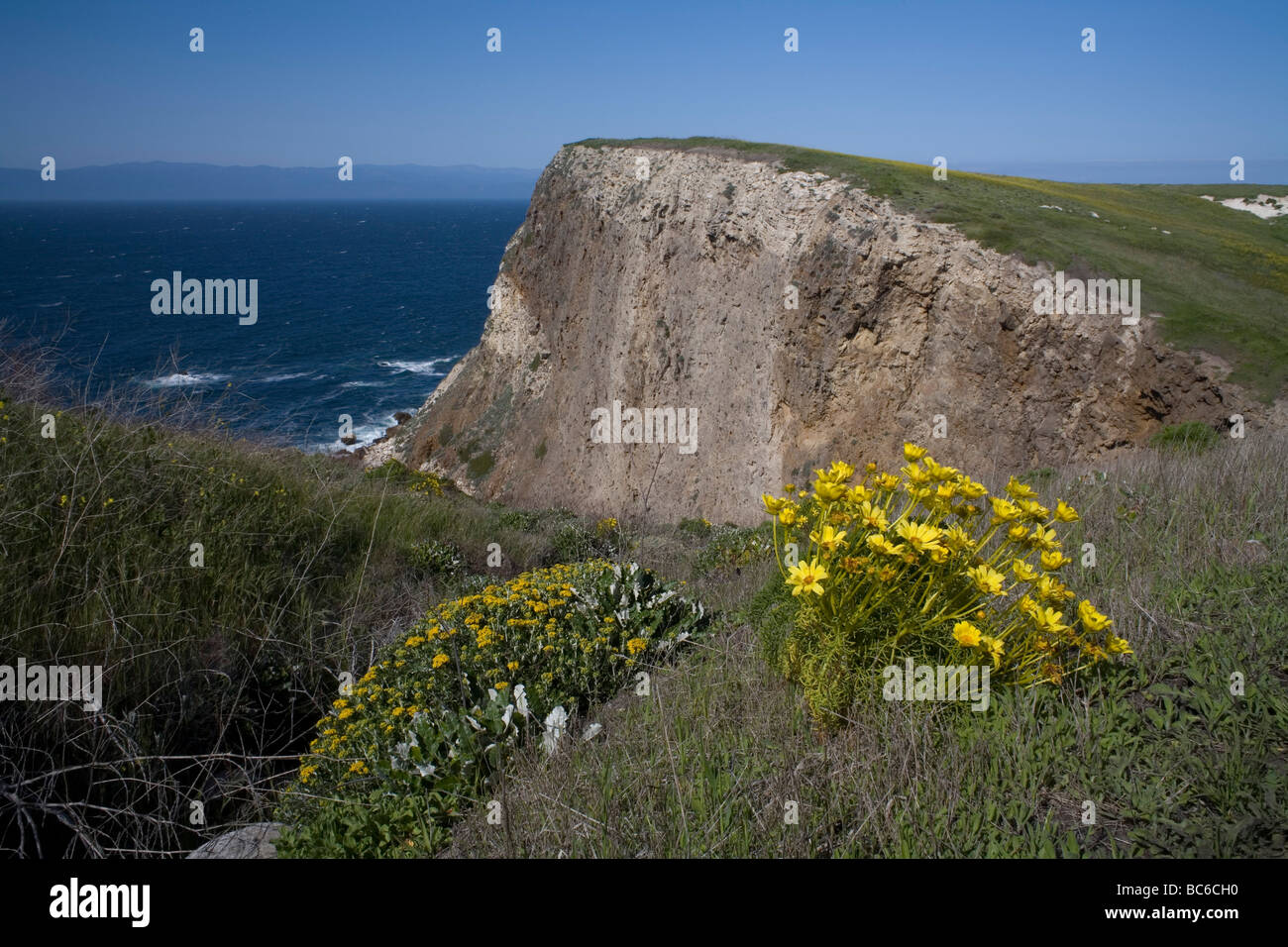 Channel Islands National Park Santa Cruz Island Stock Photo - Alamy