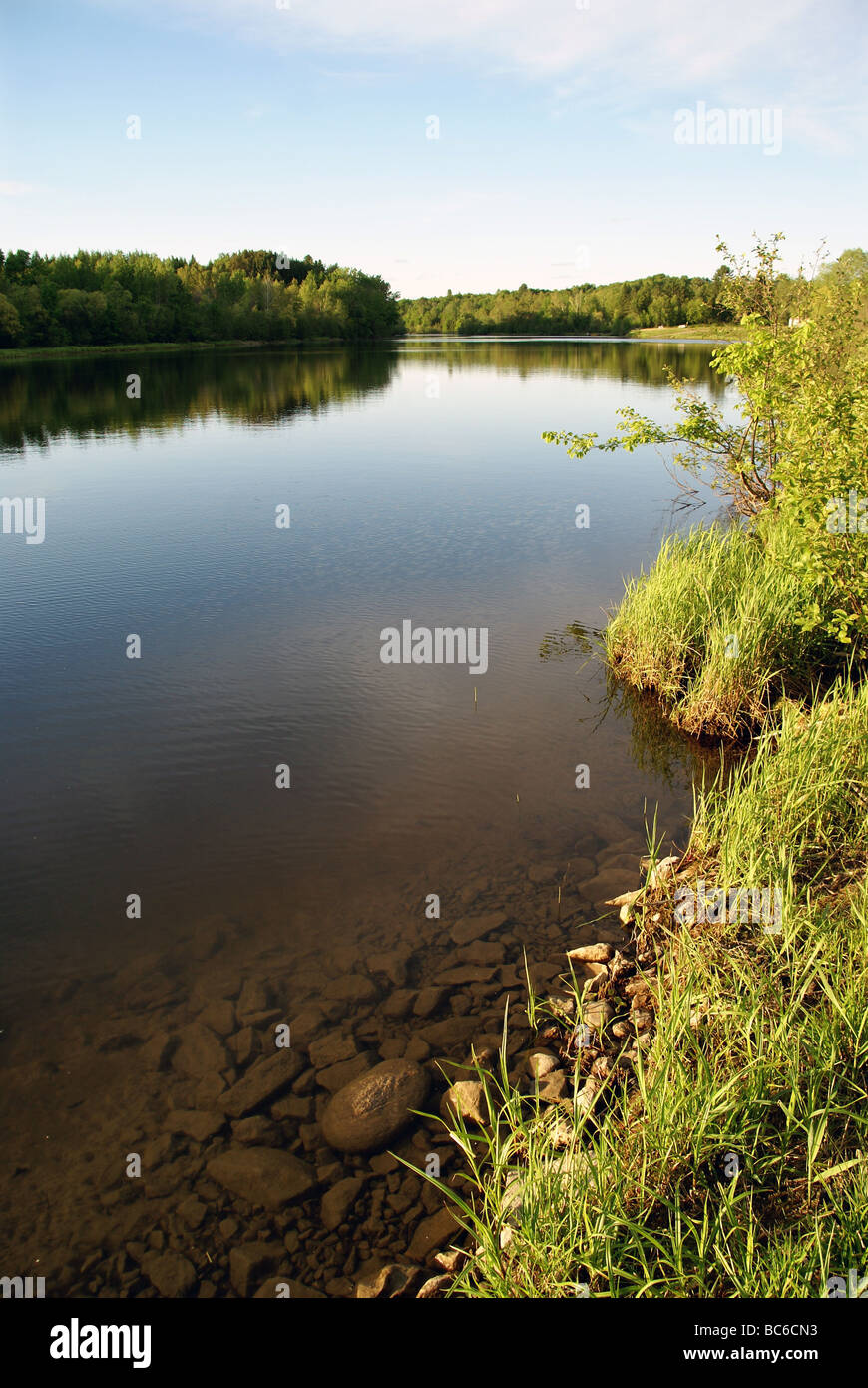 Pure water river in nature hi-res stock photography and images - Alamy
