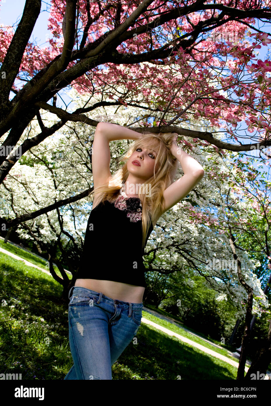Blond teenage girl under dogwood tree Stock Photo - Alamy