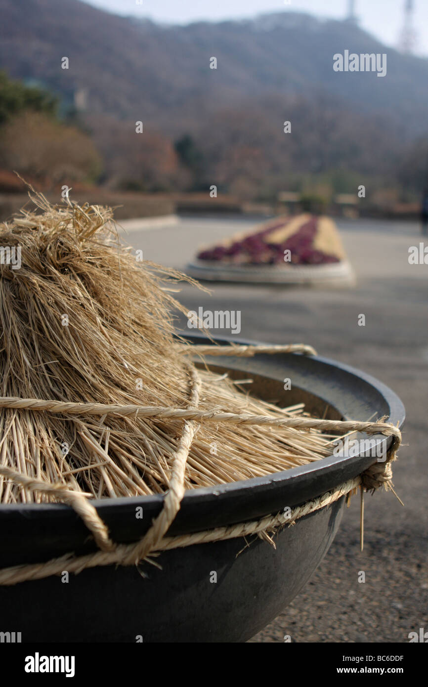 pot of straw for protect plant from the cold, namsan park Stock Photo ...