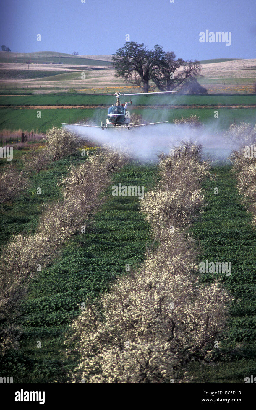 Helicopter spraying crops hi-res stock photography and images - Alamy