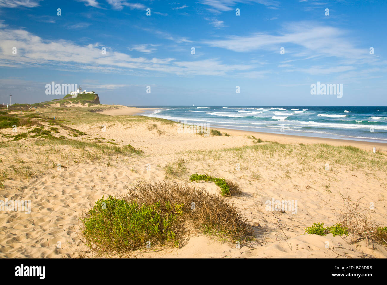 Nobbys Beach with Nobbys Head Lighthouse in the distance Newcastle NSW ...