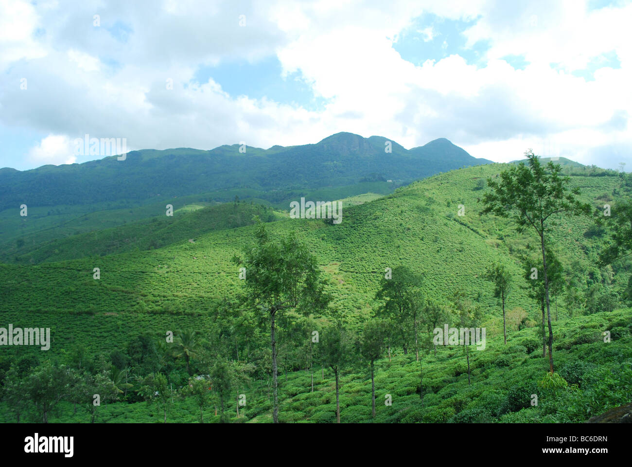 Idukki Stock Photos & Idukki Stock Images - Alamy