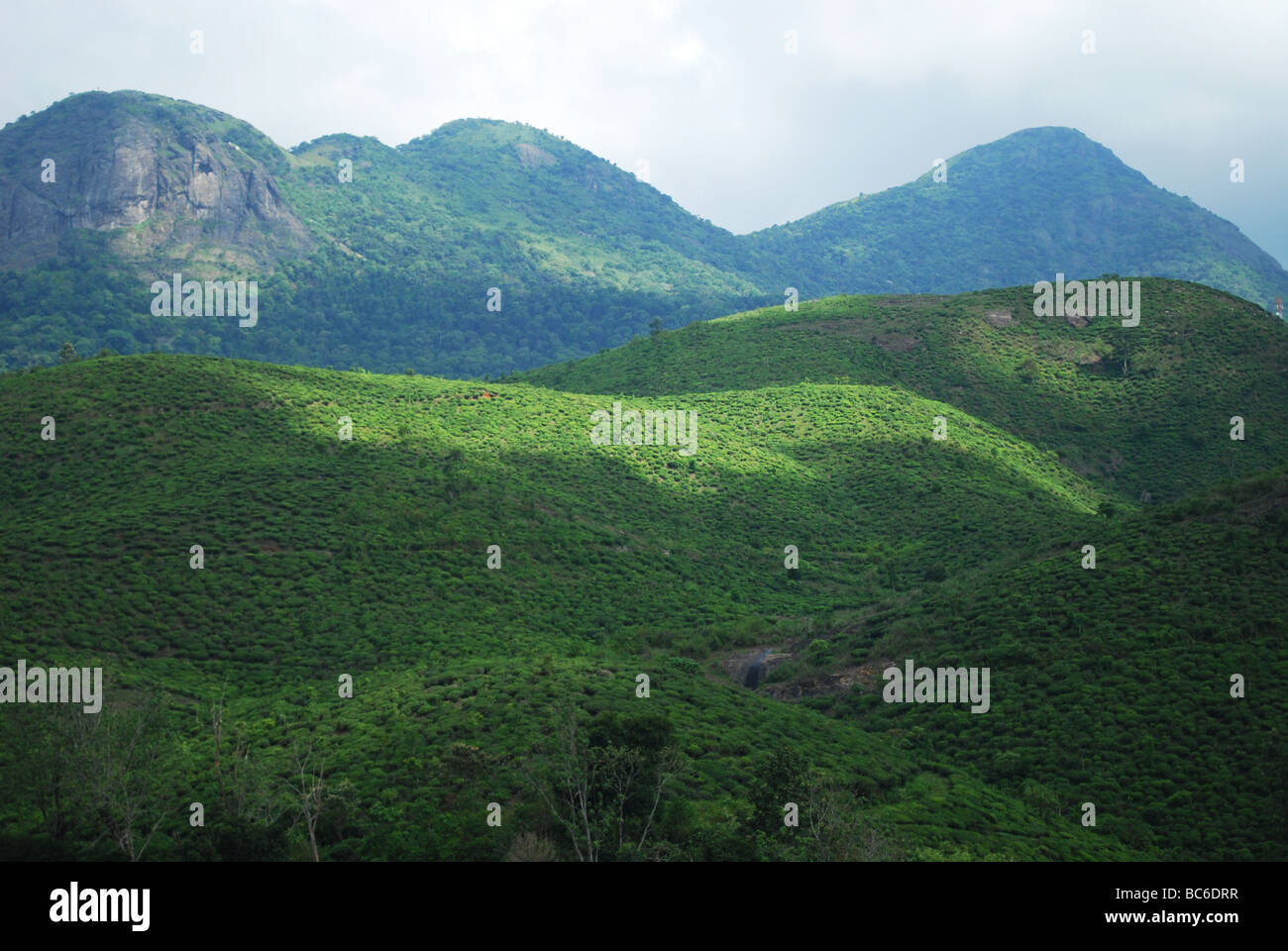 Vagamon kerala hi-res stock photography and images - Alamy