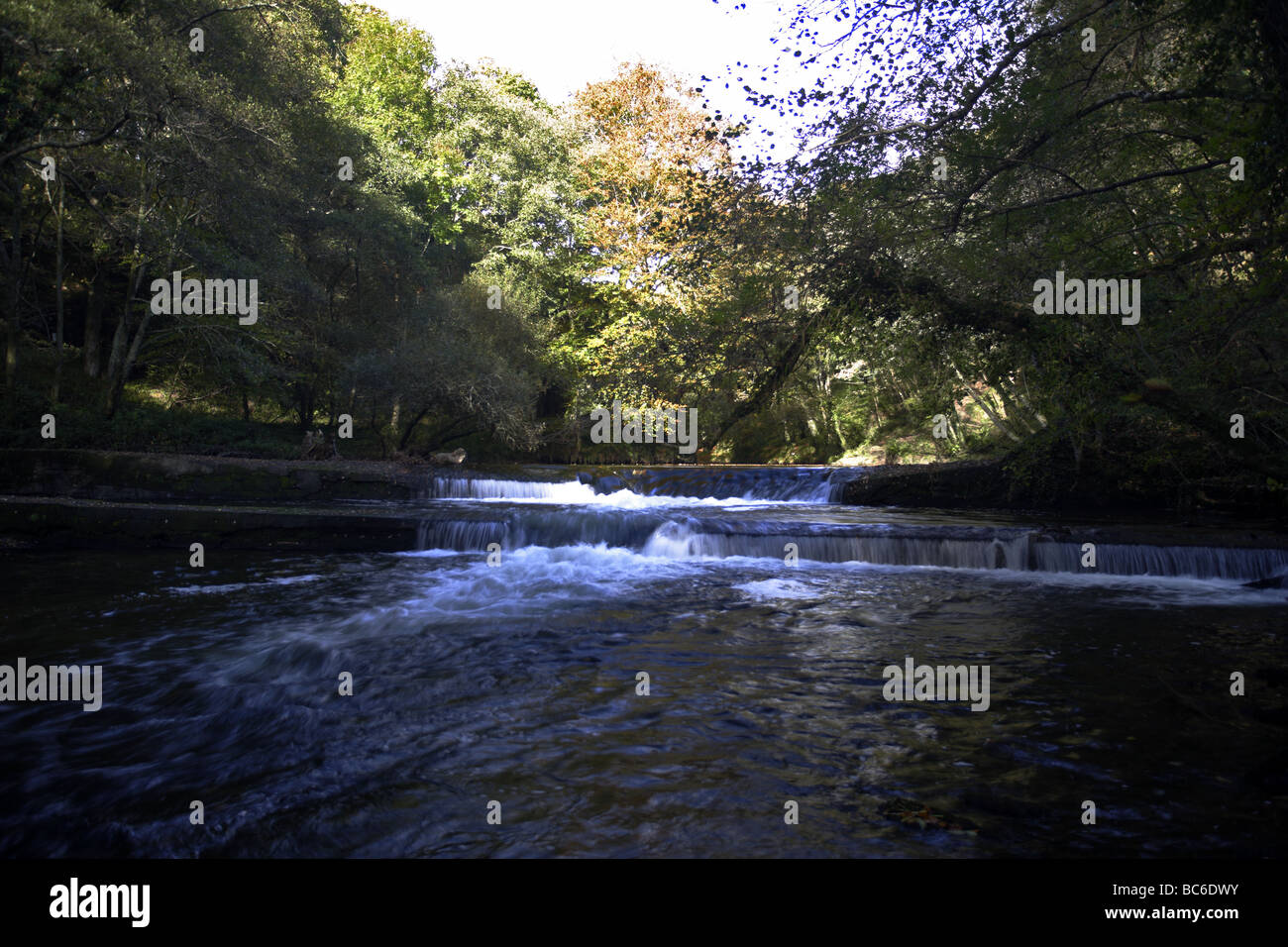 River Camel, Dunmere Stock Photo - Alamy