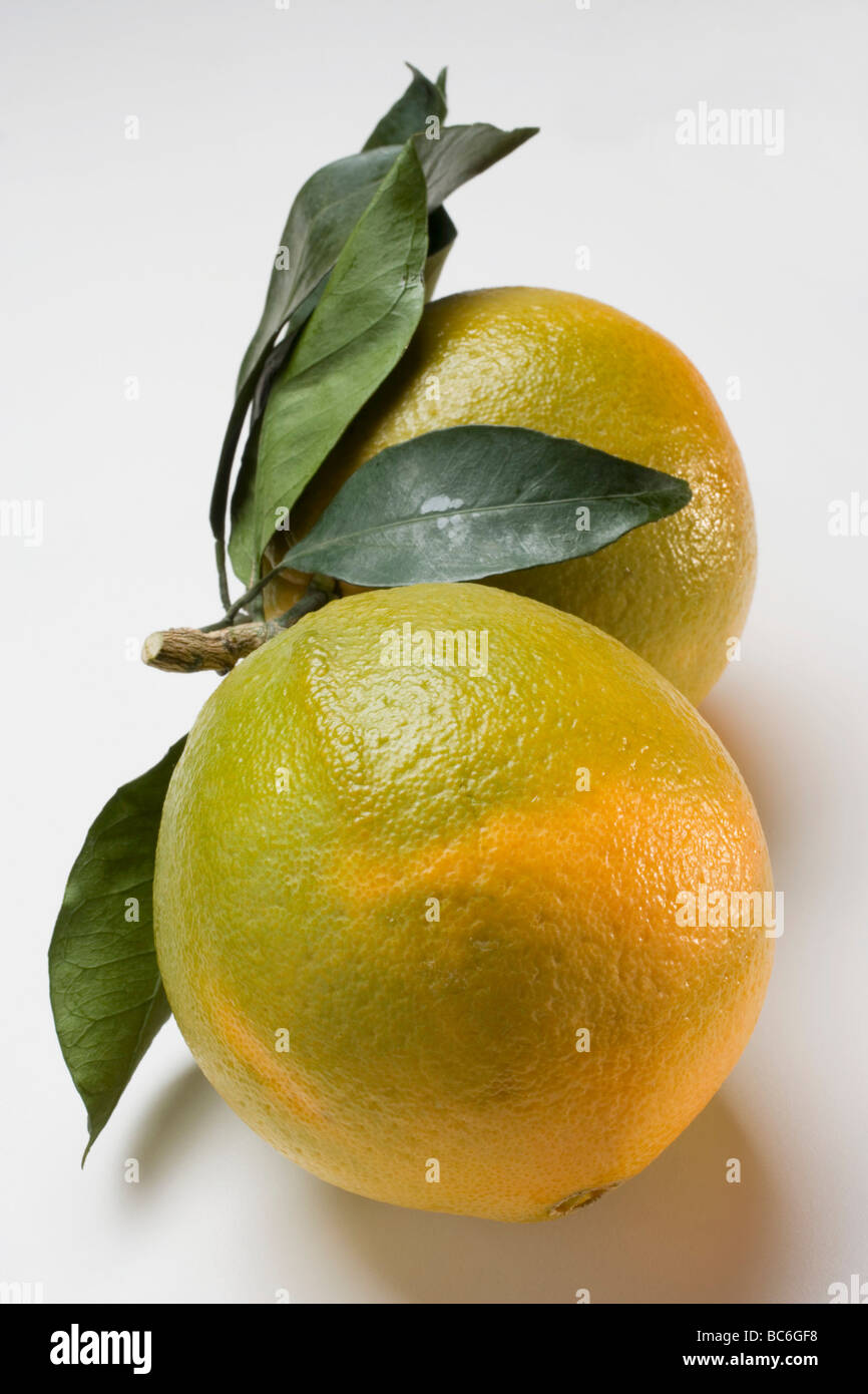 Two oranges with leaves Stock Photo - Alamy