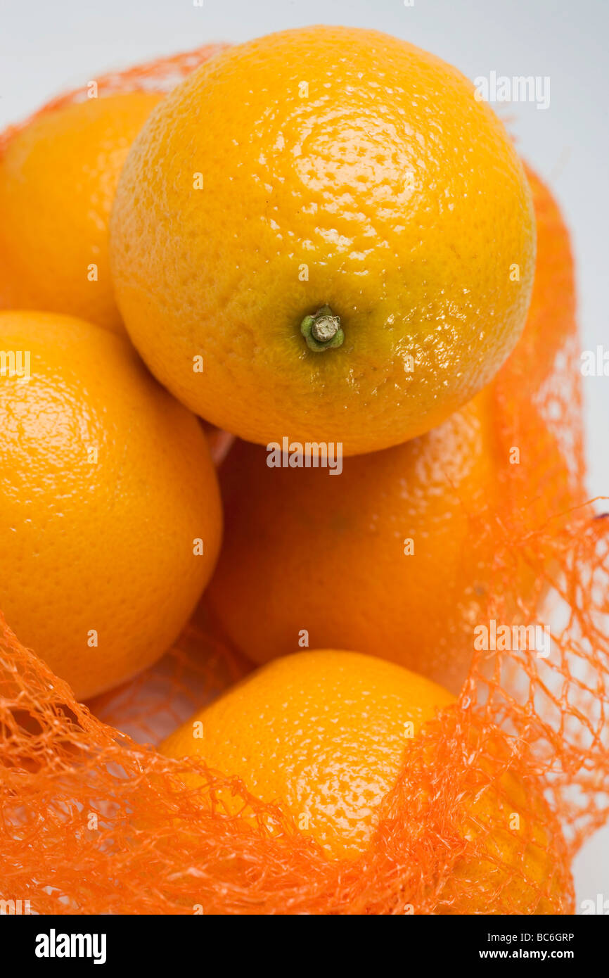 Oranges in a net (detail Stock Photo - Alamy