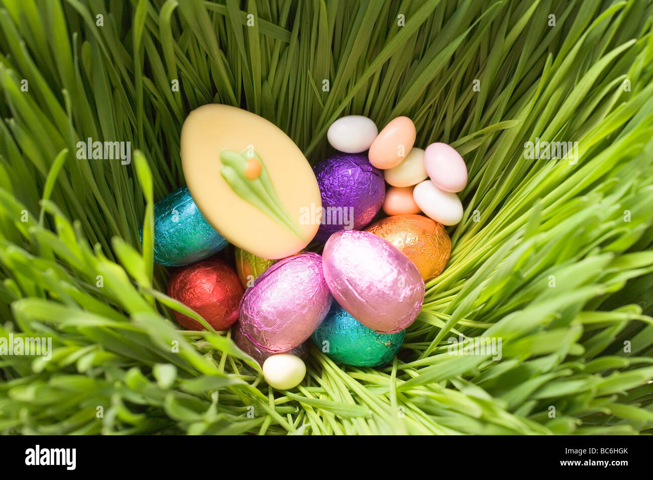 Candy grasses hi-res stock photography and images - Alamy