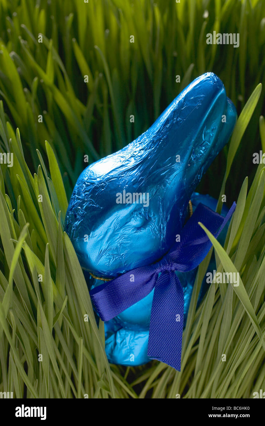 Blue chocolate Easter Bunny in grass Stock Photo - Alamy