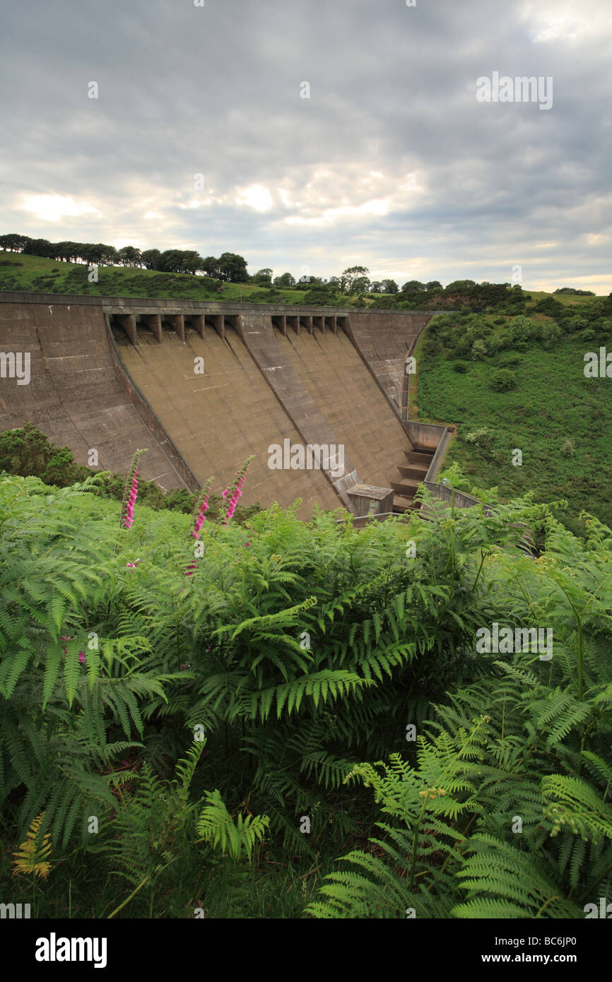 Meldon Reservoir near Okehampton, Dartmoor, Devon, England, UK Stock ...