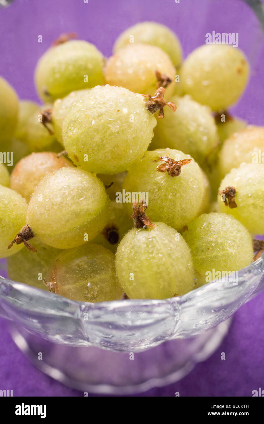 Gooseberries with drops of water in glass Stock Photo - Alamy