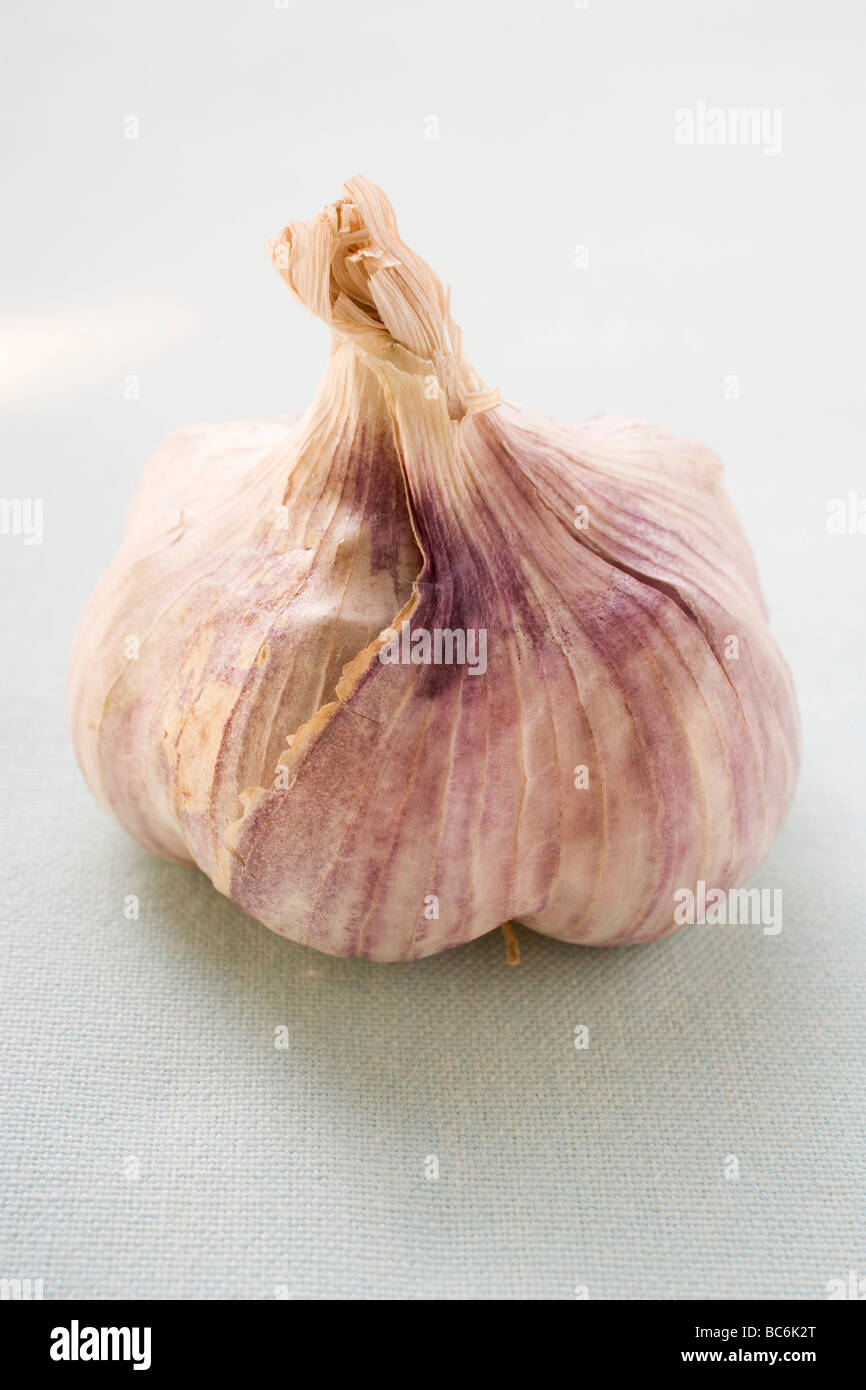Garlic bulb Stock Photo - Alamy