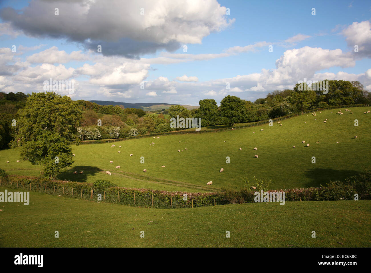 Beautiful Welsh country landscape viewed from the Pwllgwilym Holiday ...