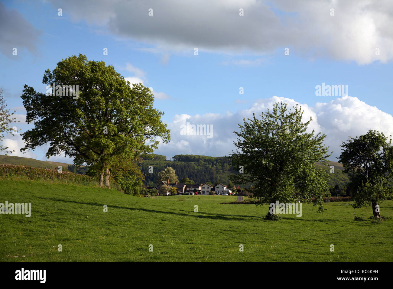 Beautiful Welsh country landscape viewed from the Pwllgwilym Holiday ...