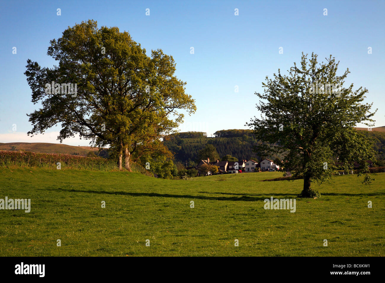 Beautiful Welsh country landscape viewed from the Pwllgwilym Holiday ...