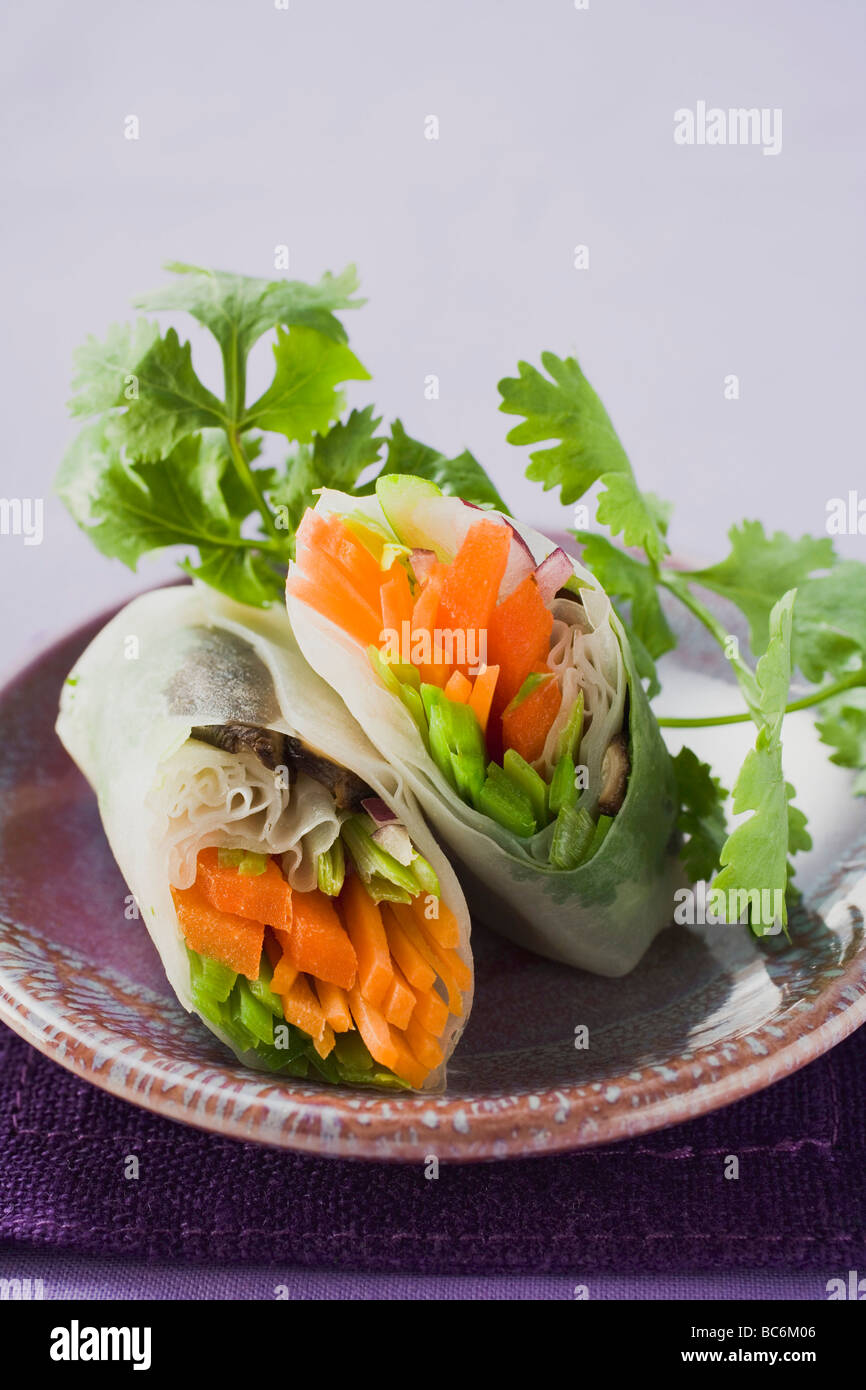 Vietnamese spring rolls with vegetable filling Stock Photo - Alamy