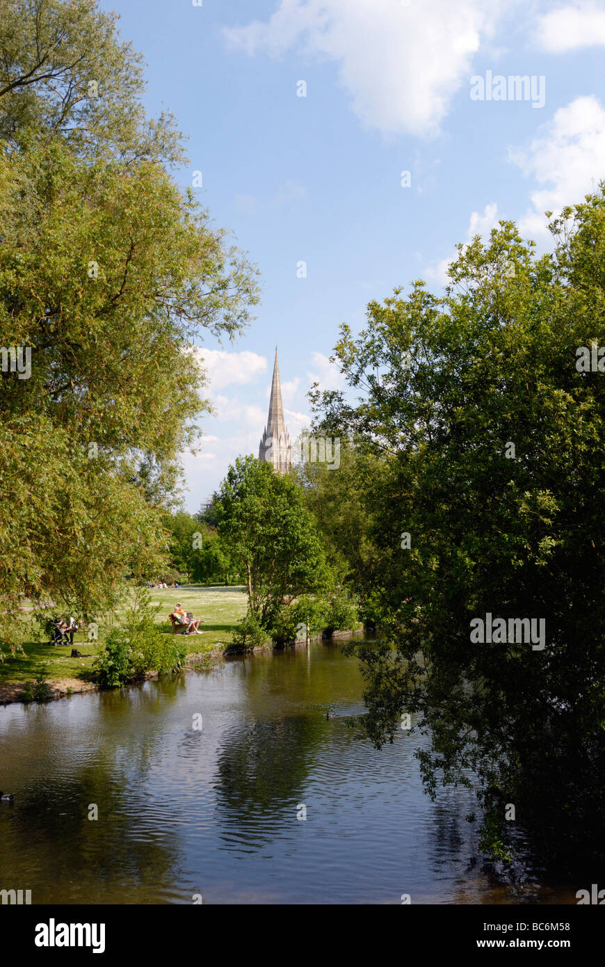 The River Nadder with Salisbury Cathedral in the distance Salisbury ...