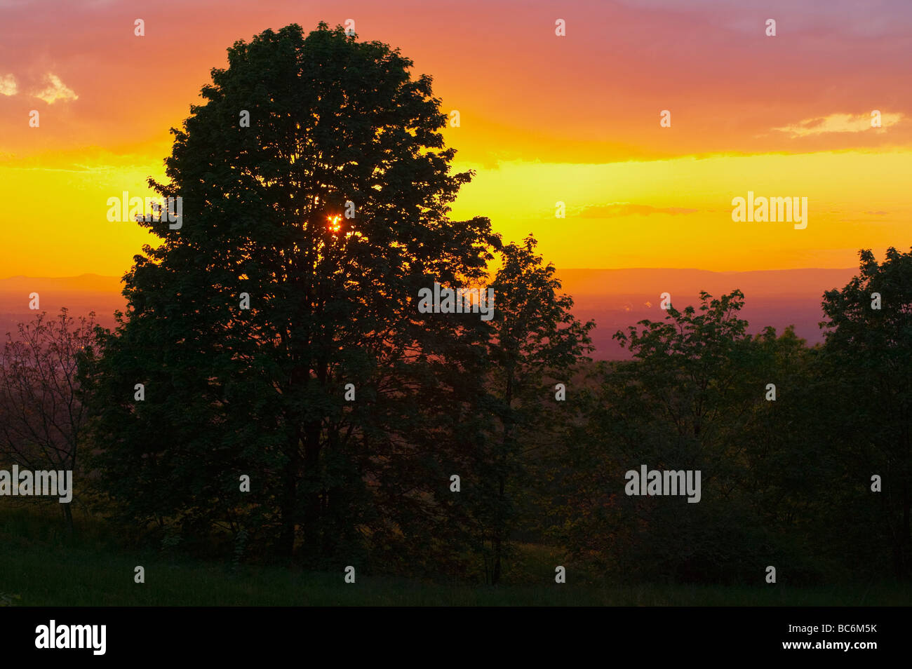 Baden Wurttemberg Schwarzwald Black Forest Germany at sunset Stock Photo - Alamy