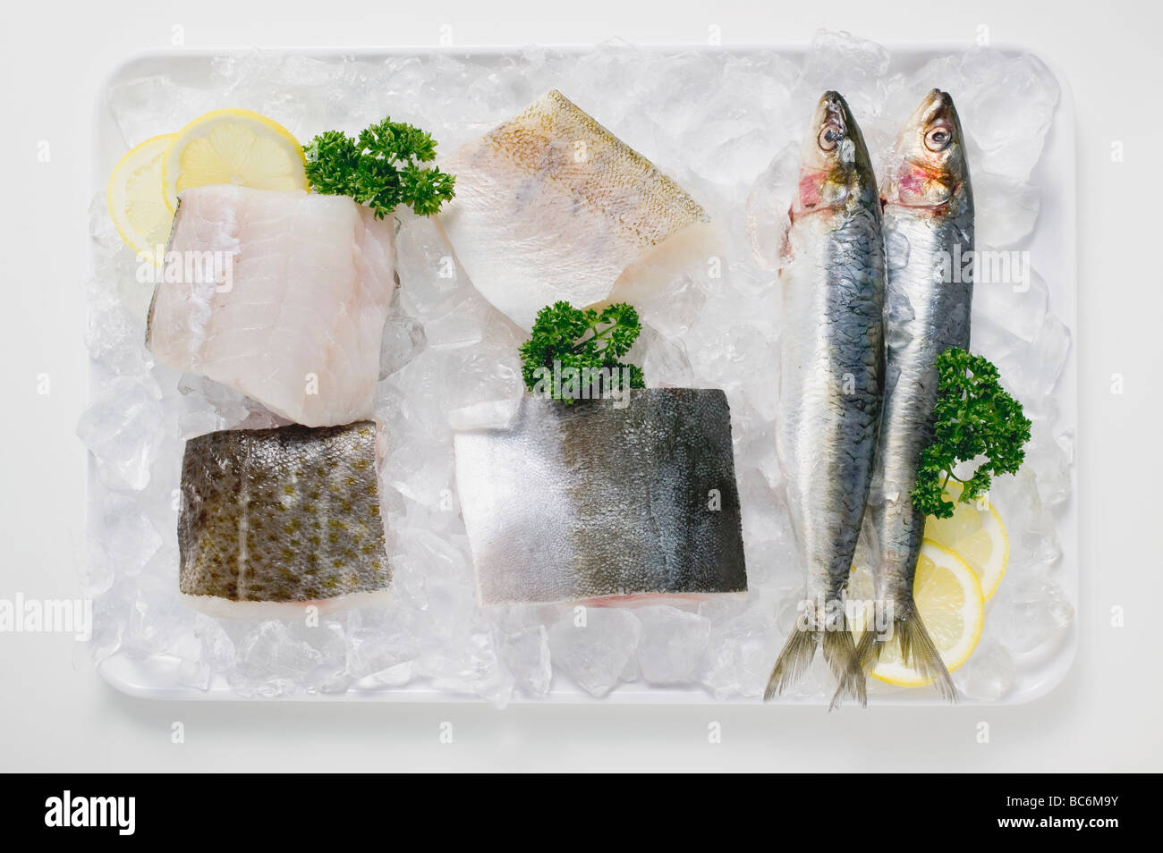 Types of fish hi-res stock photography and images - Alamy