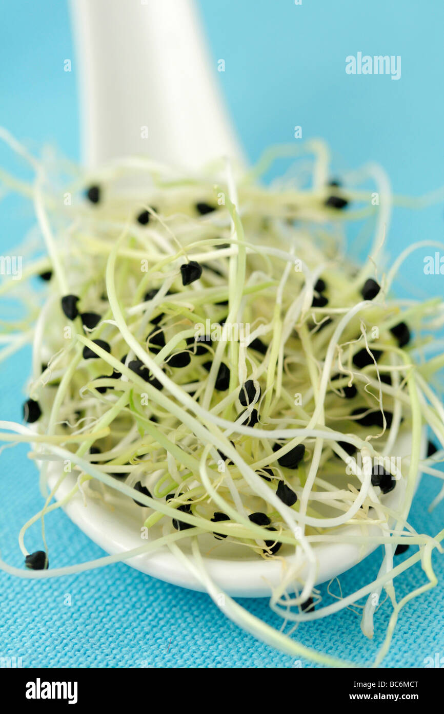 Onion interior hi-res stock photography and images - Alamy