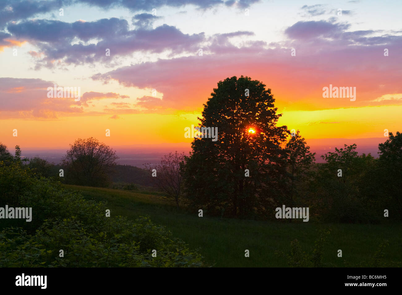 Baden Wurttemberg Schwarzwald Black Forest Germany at sunset Stock Photo - Alamy