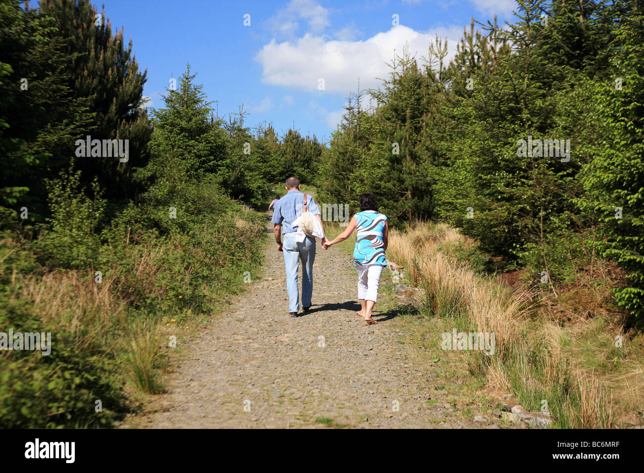Walkers on the path heading for the Sqwd Isaf Clun-Gwyn falls on the ...