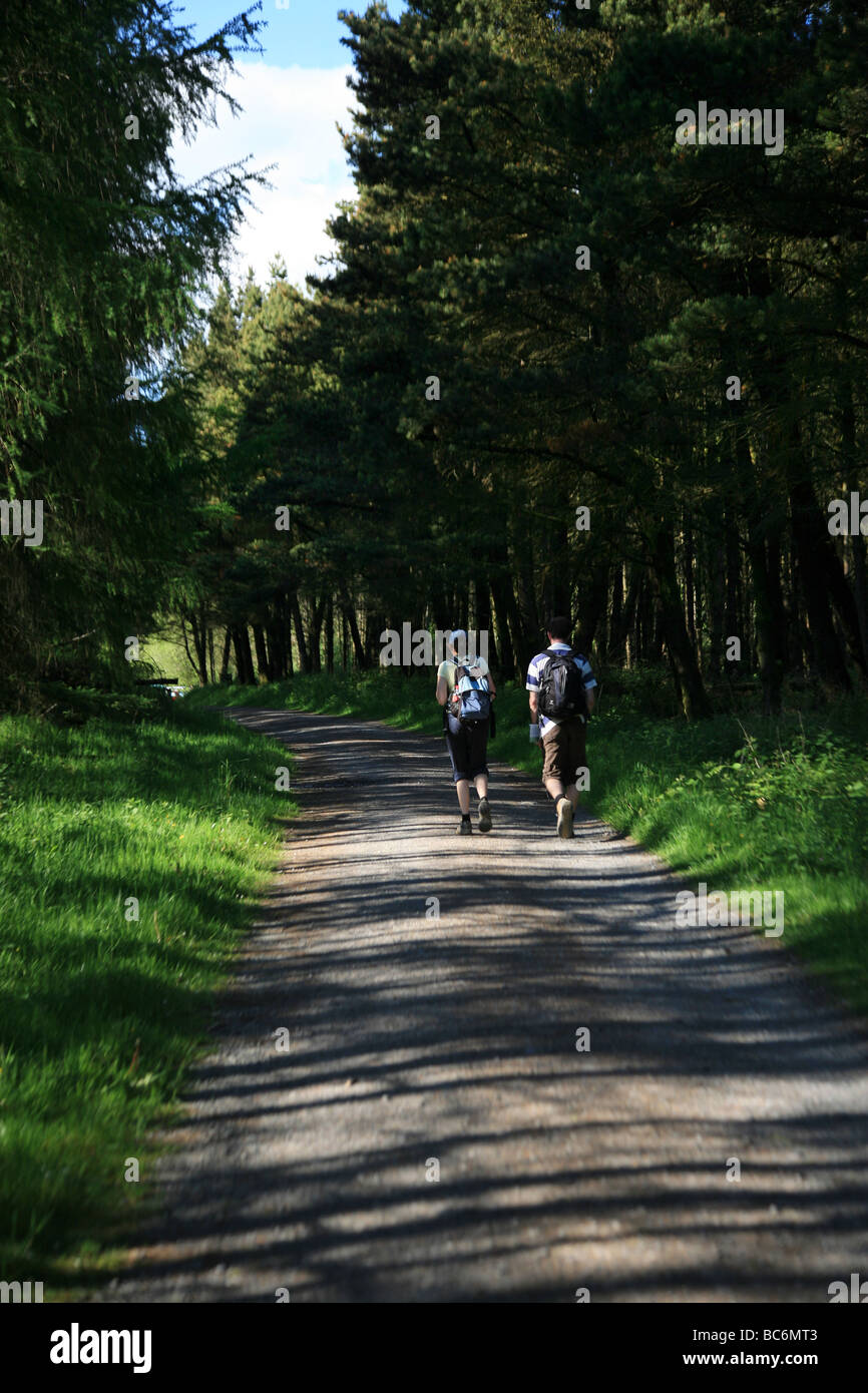 Walking along a shady path heading for the Sqwd Isaf Clun-Gwyn falls on ...