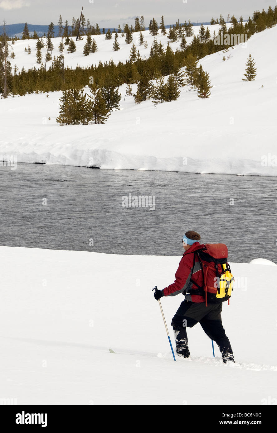 Mike Vining backcountry skiing along Madison River Yellowstone N P ...