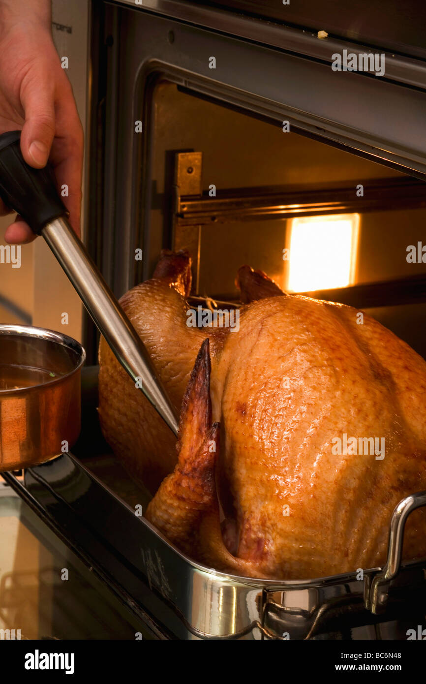 Basting turkey hi-res stock photography and images - Alamy